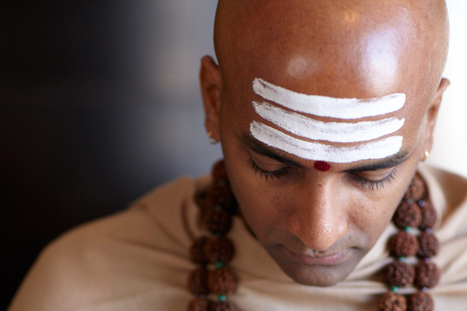 Tattva Viveka 96 - Tattva Viveka Magazin